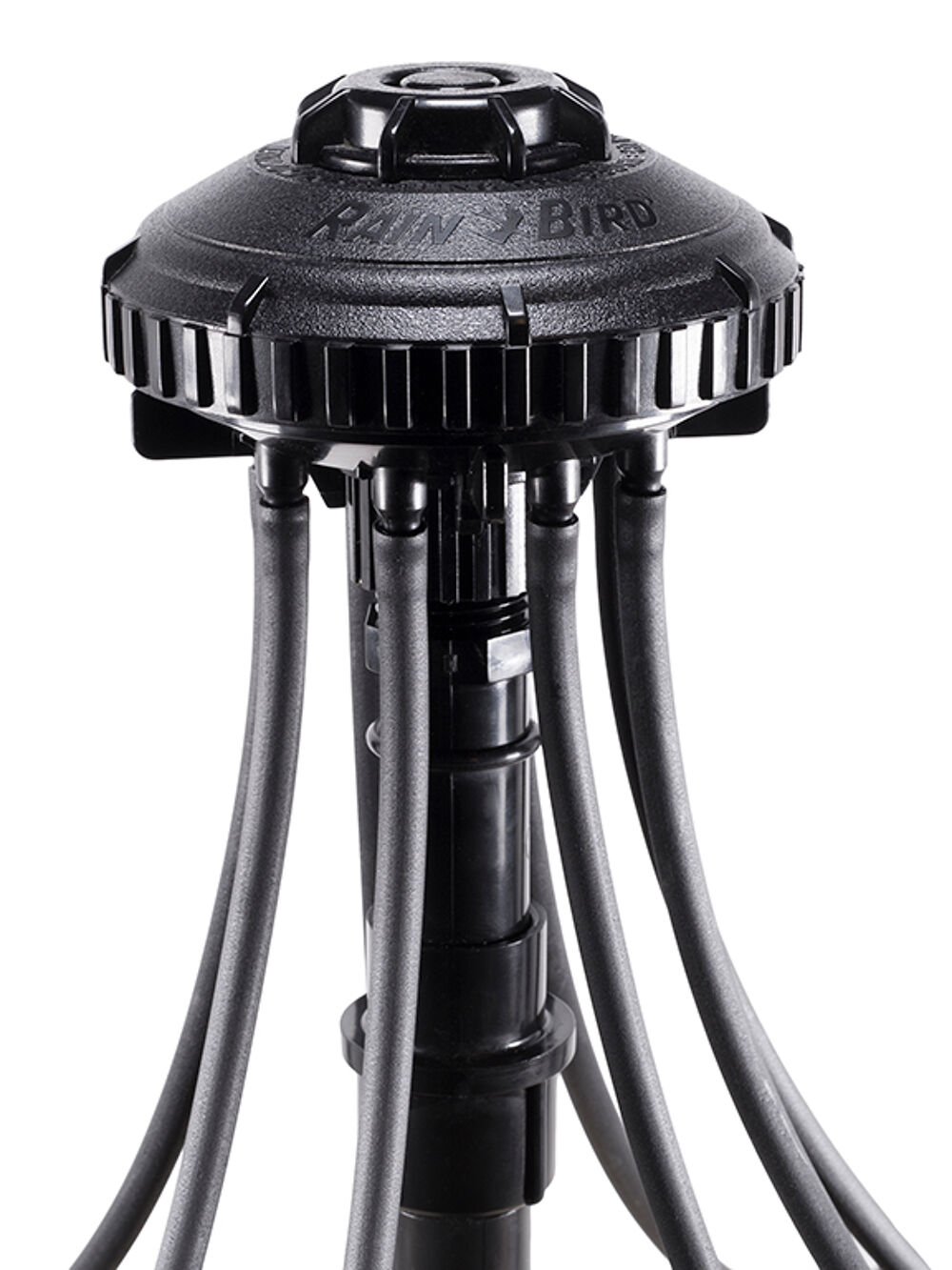 Rain Bird automatische beregening | Van den Borne