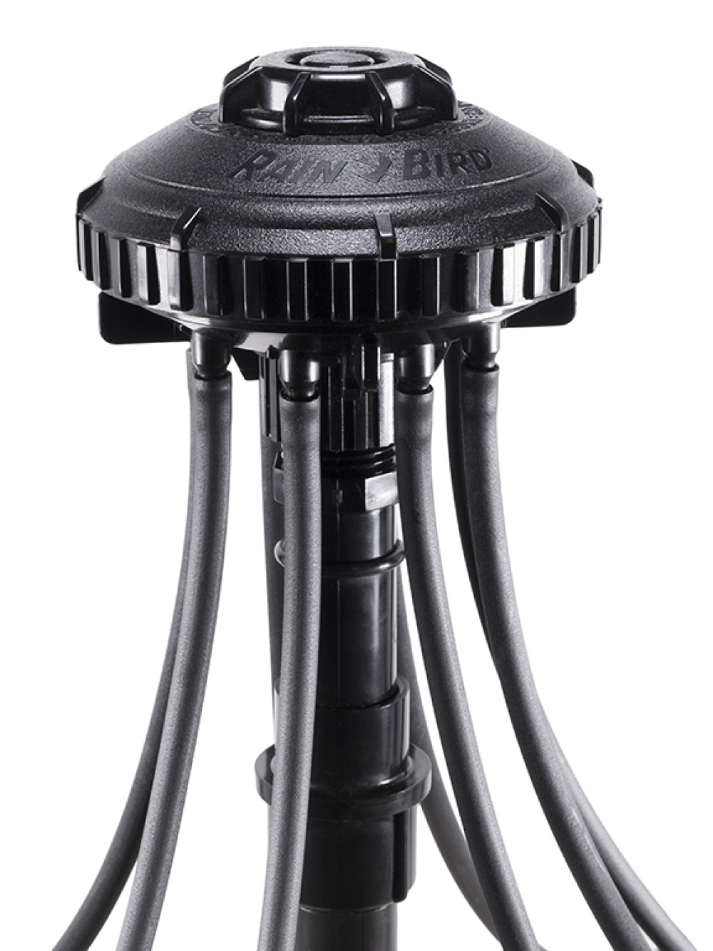 Rain Bird automatische beregening | Van den Borne